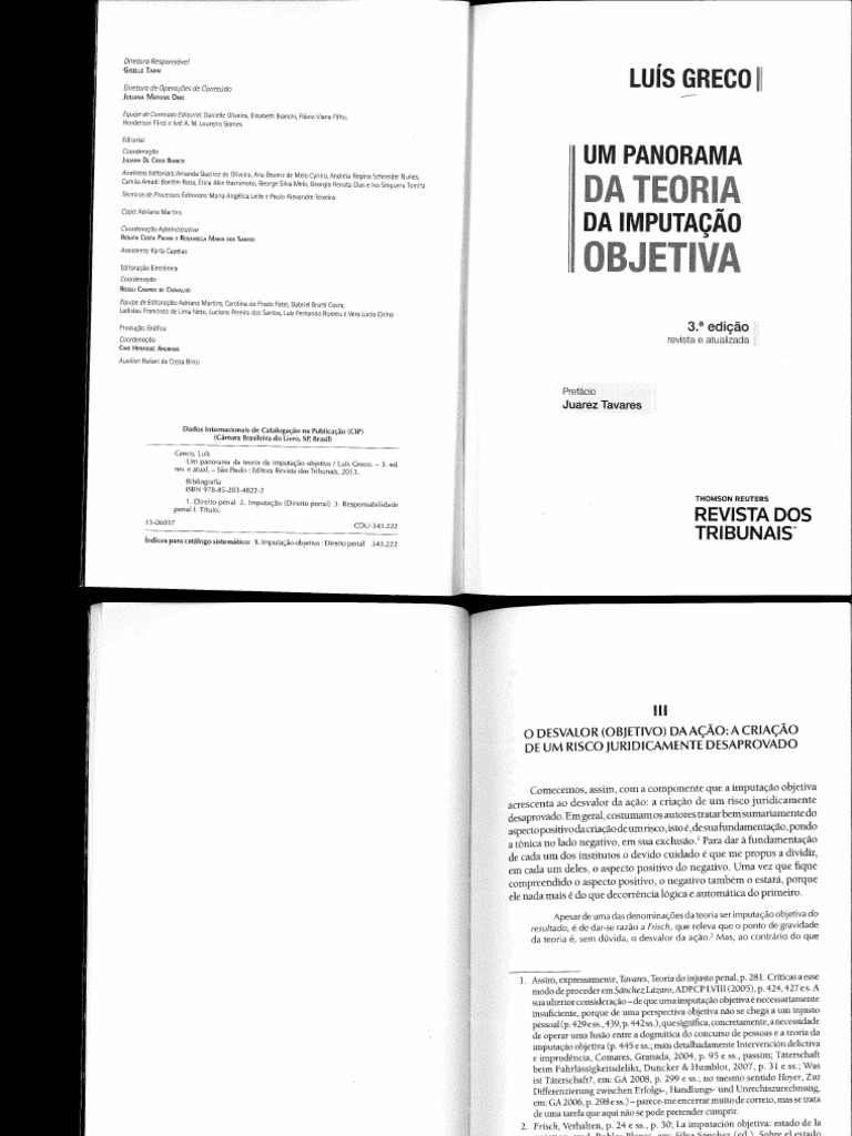 Luís Greco - Um Panorama Da Teoria Da Imputação Objetiva | PDF