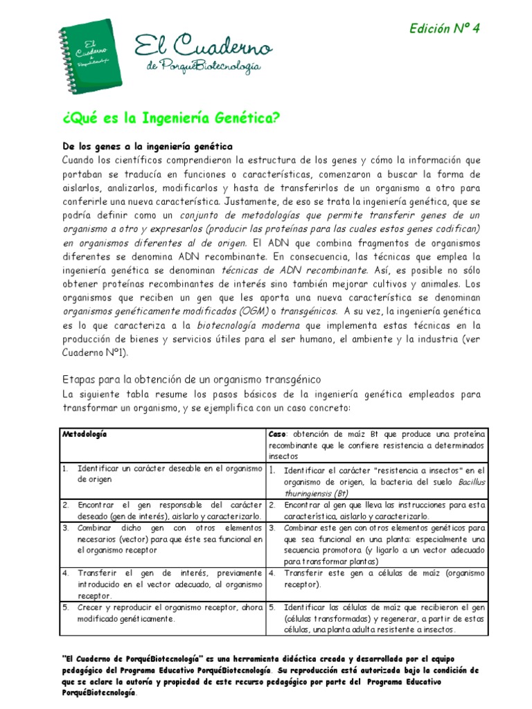 Que Es La Ingeniería Genética | PDF | Plásmido | Gene