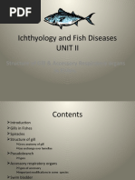 Fish Gill Respiration Explained | PDF | Gill | Respiratory System
