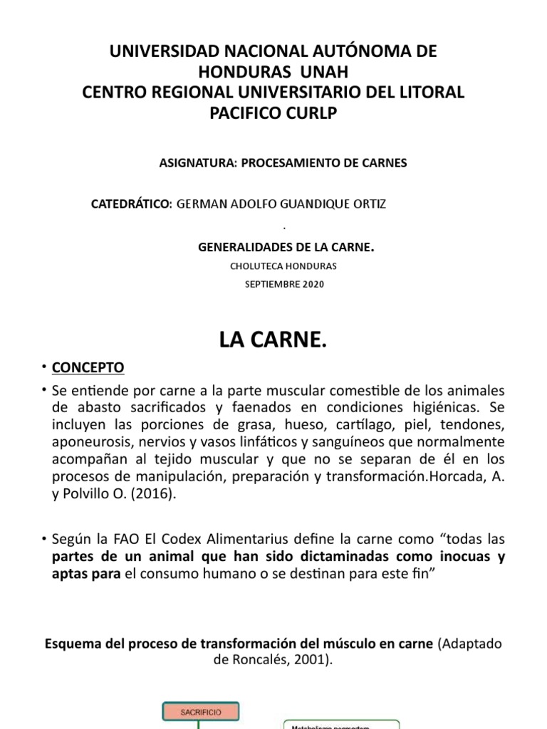 Generalidades de La Carne. | PDF | Lípido | Carne