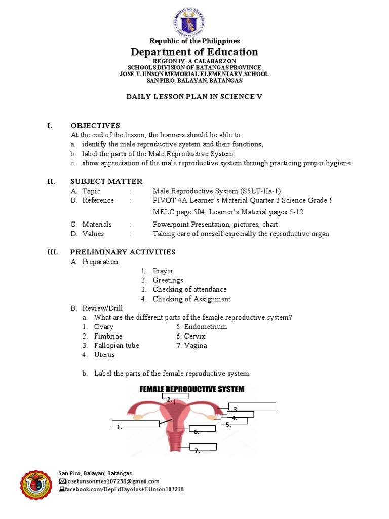 Daily Science Lesson Plan: Male Reproductive System | PDF ...