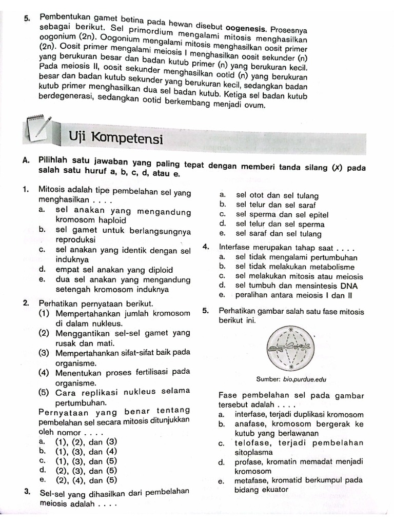 Bio Bab 4 Latihan Soal | PDF