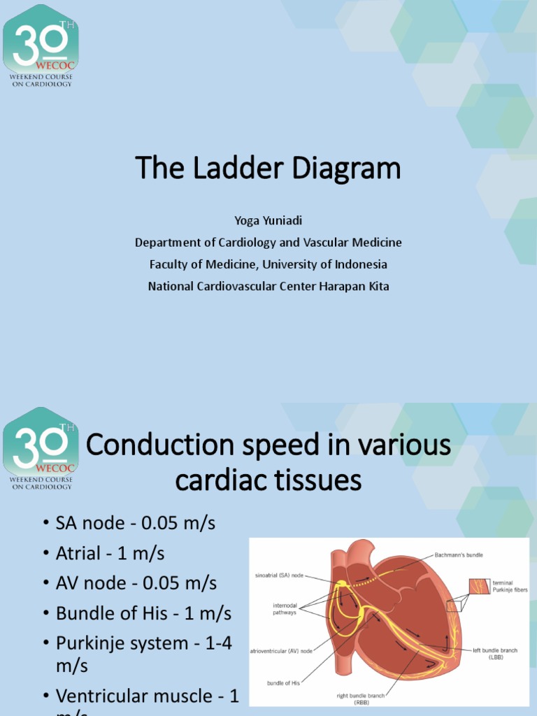 Yoga Yuniadi - Ladder Diagram | PDF