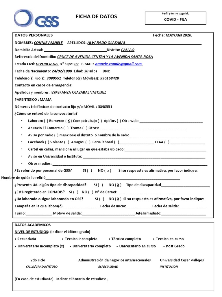 Ejemplo - FICHA DE DATOS | PDF | Soporte técnico