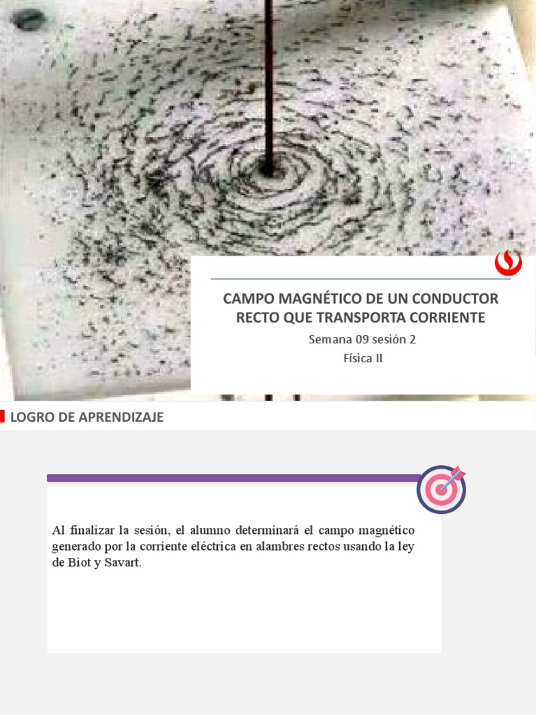 Escribir Aquí El Título Del Material: Campo Magnético de Un Conductor ...