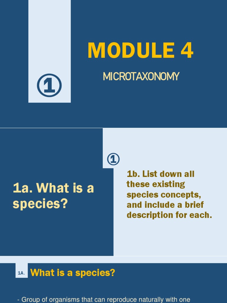 MICROTAXONOMY | PDF | Species | Hybrid (Biology)