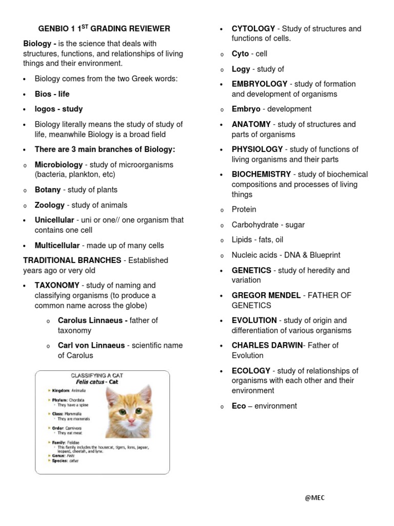 Genbio 1 1ST Grading Reviewer | PDF | Mitosis | Cell (Biology)