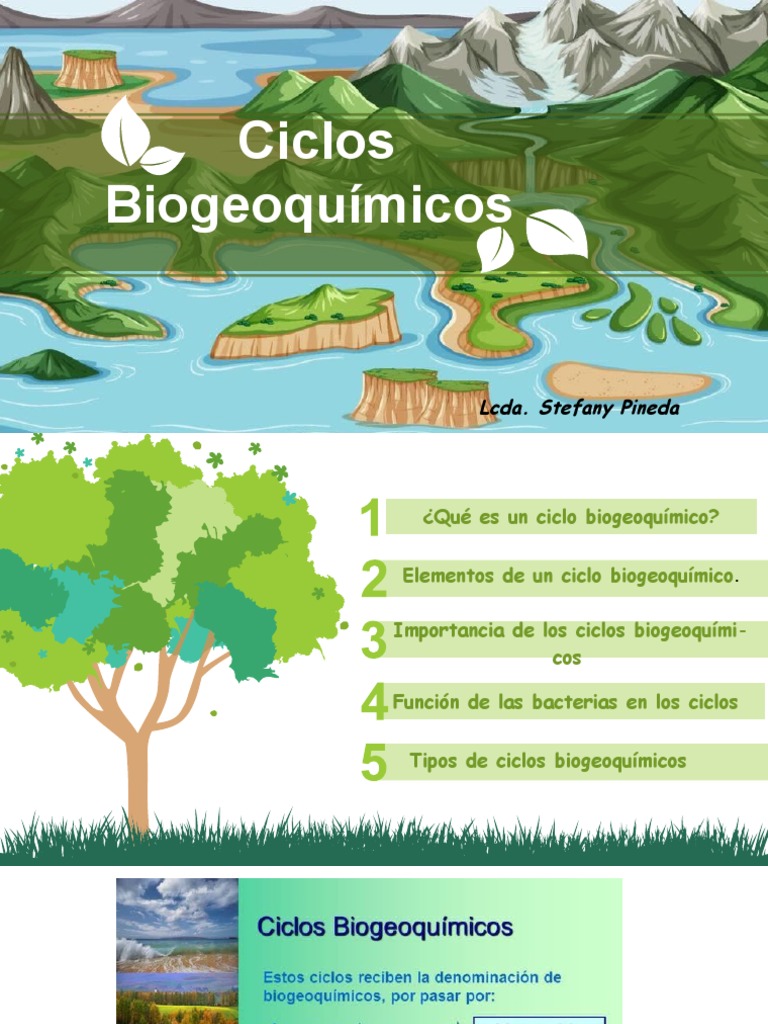 Ciclos Biogeoquímicos | PDF | Tierra | Vida