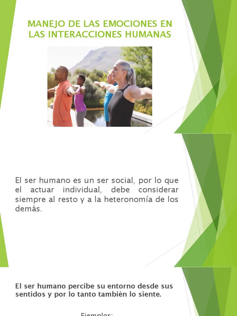 Manejo De Las Emociones Pdf Las Emociones Salud Mental