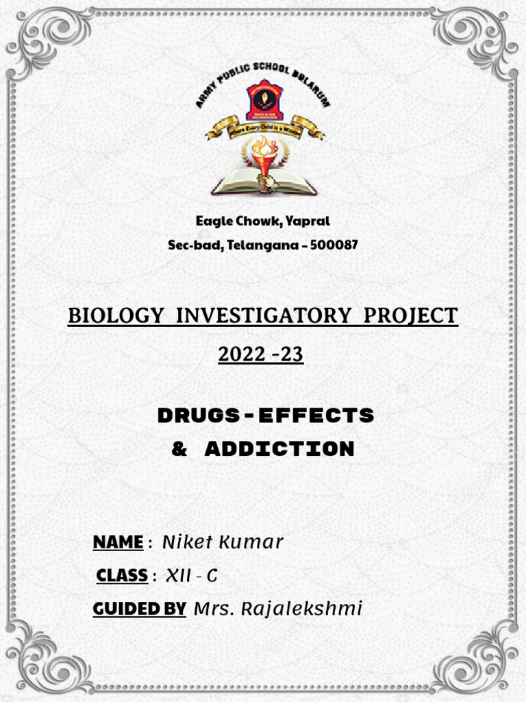 Drug Addiction Project | PDF | Substance Abuse | Opioid