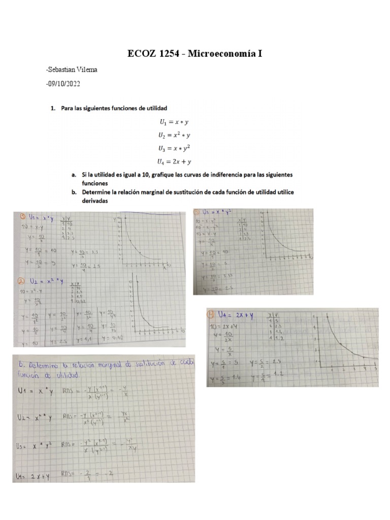 Tarea 1 Micro Sebastian Vilema | PDF