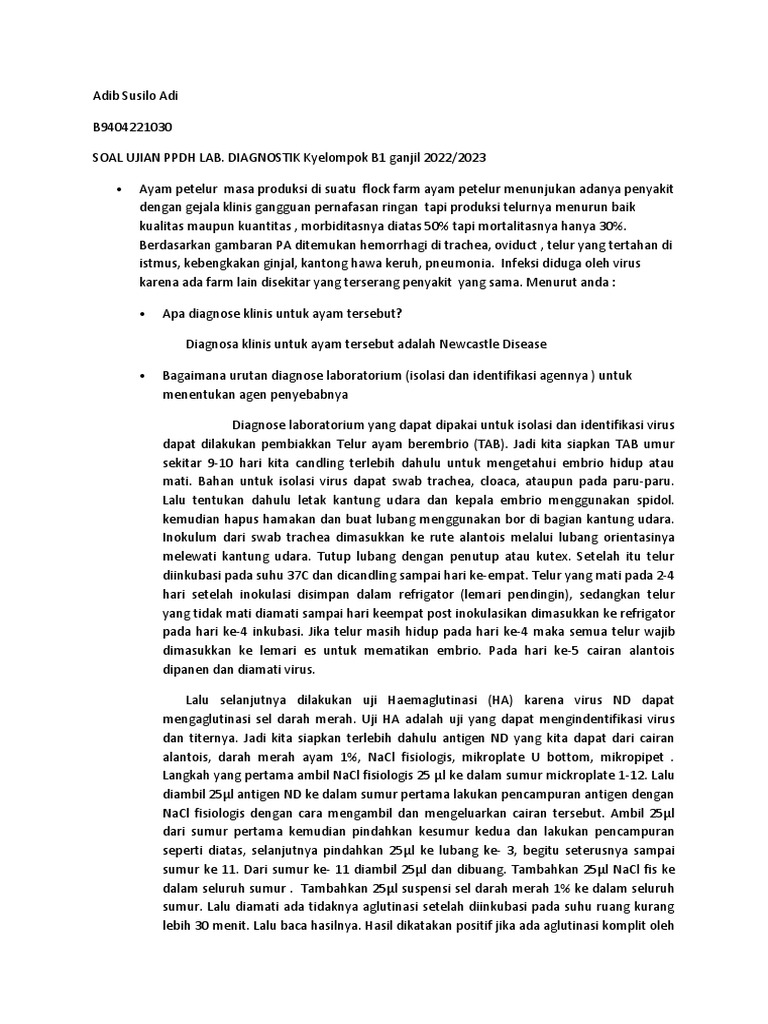 Adib Susilo Adi - B9404221030 | PDF