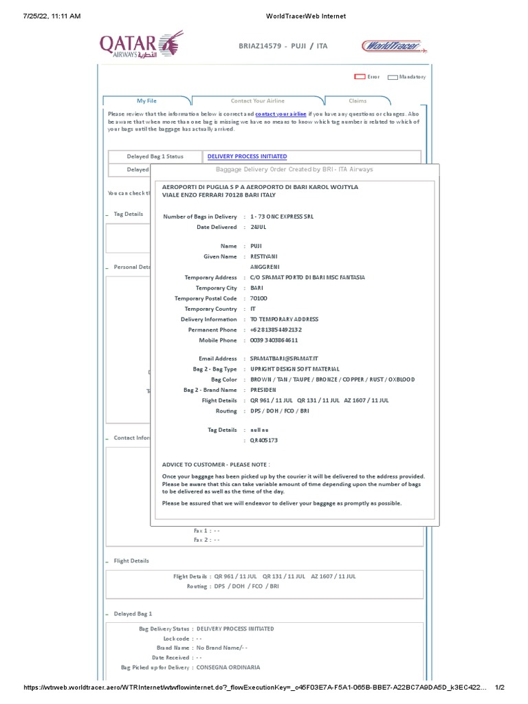WorldTracerWeb Internet | PDF | Computing