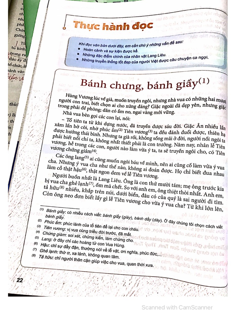Vietnamese Grade 5 Reading | PDF