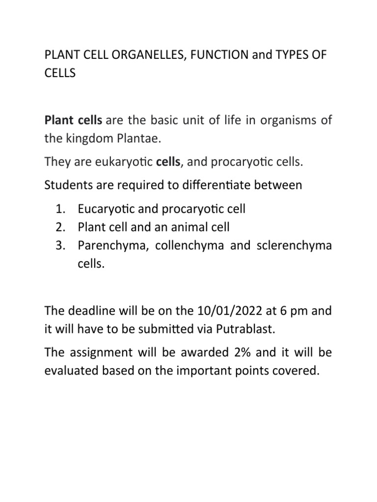Plant Cell Types | PDF
