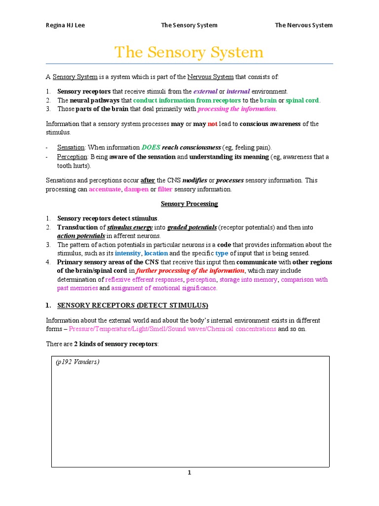The Sensory System | PDF | Stimulus (Physiology) | Senses