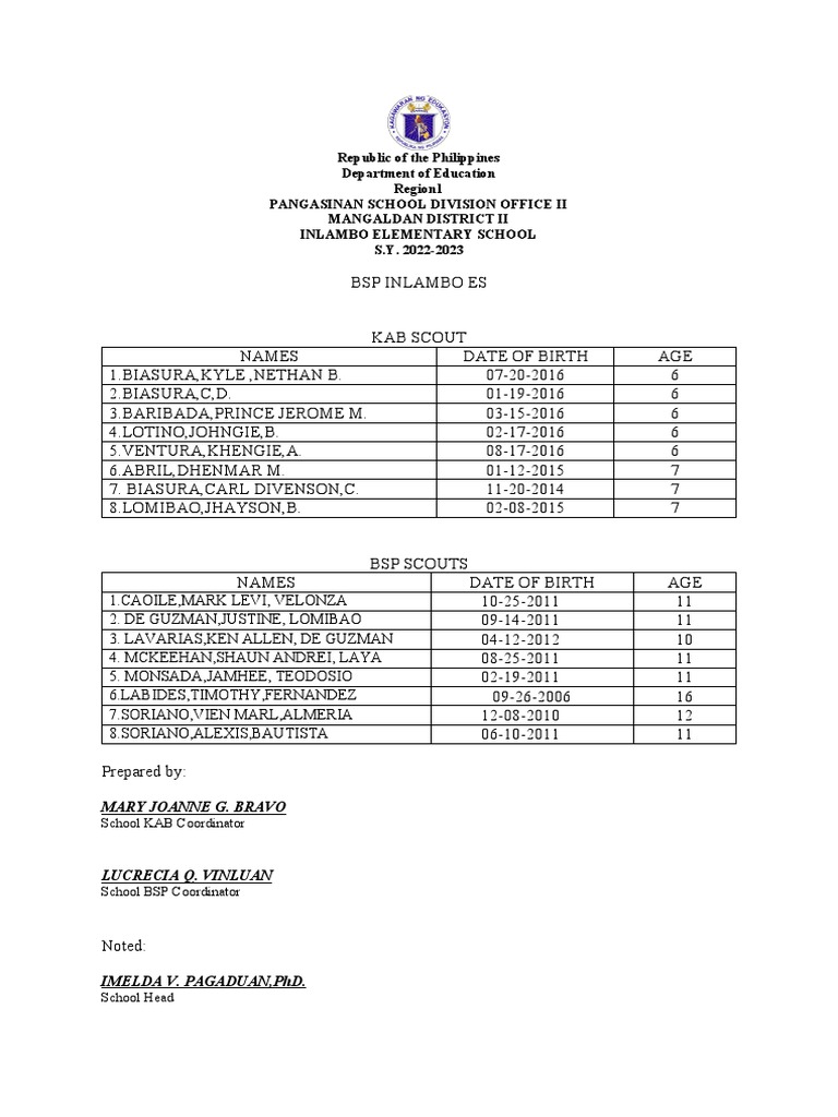 BSP Action Plan | PDF