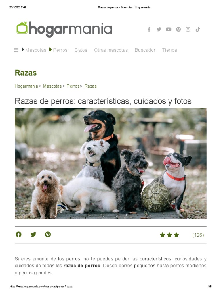 Razas de Perros - Mascotas | PDF | Razas de perros | Perros