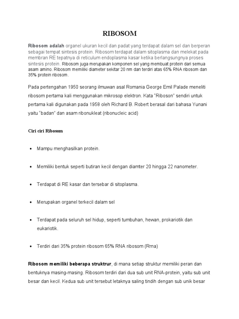 Ciri dan Fungsi Ribosom dalam Sel | PDF
