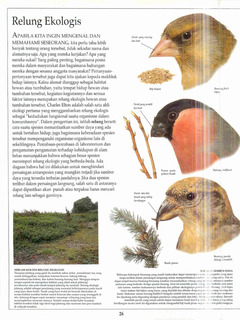 Relung Ekologis | PDF