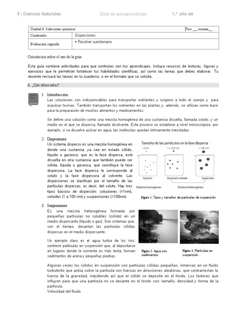 Ficha de Trabajo Dispersiones | PDF | Coloide | Ósmosis