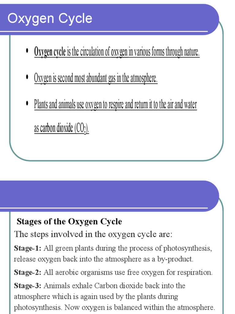Air and Oxygen | PDF | Oxygen | Carbon Dioxide