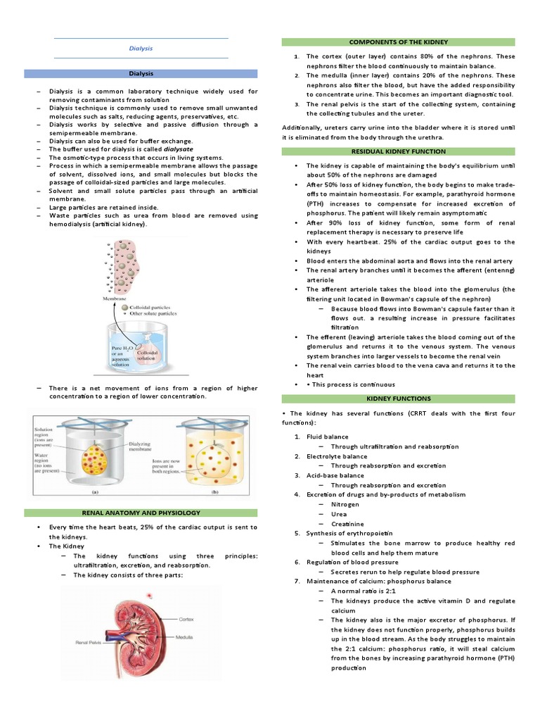 Biochem Lab Prelim Reviewer | PDF | Osmosis | Kidney