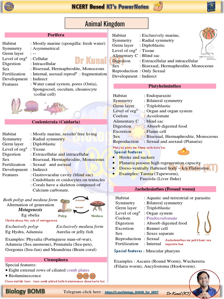 Animal Kingdom Overview and Notes | PDF | Fish | Organisms