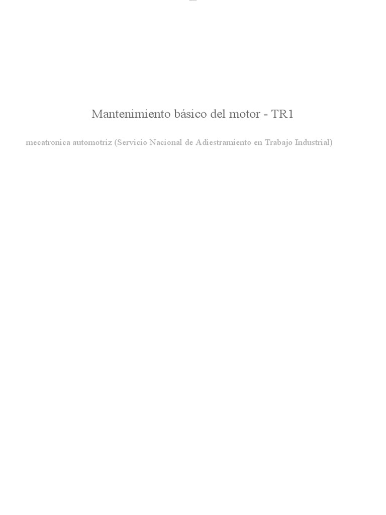 Mantenimiento Basico Del Motor tr1 | PDF