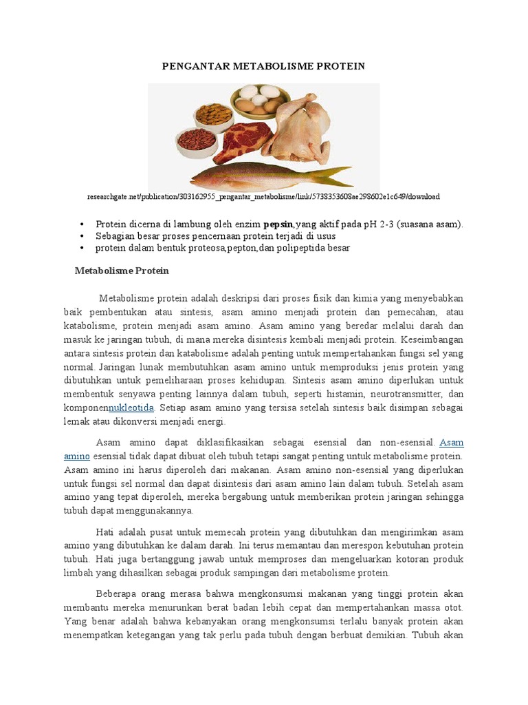Makalah METABOLISME PROTEIN | PDF
