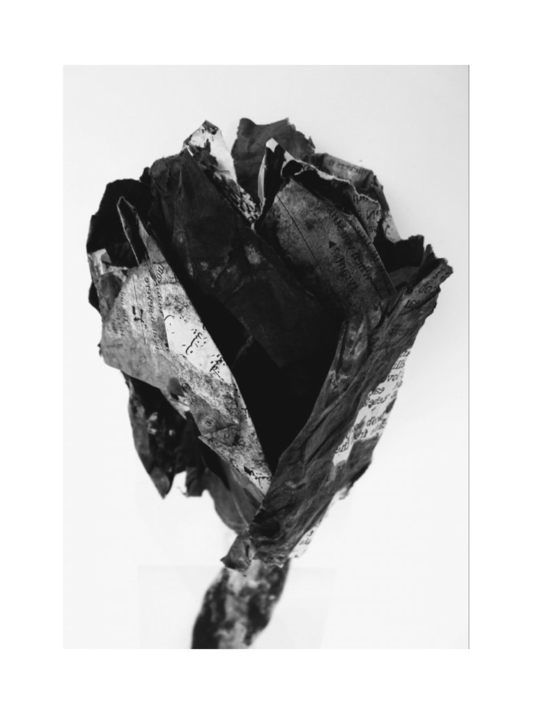 Mythical Metamorphosis & Resurrection | PDF | Dionysus