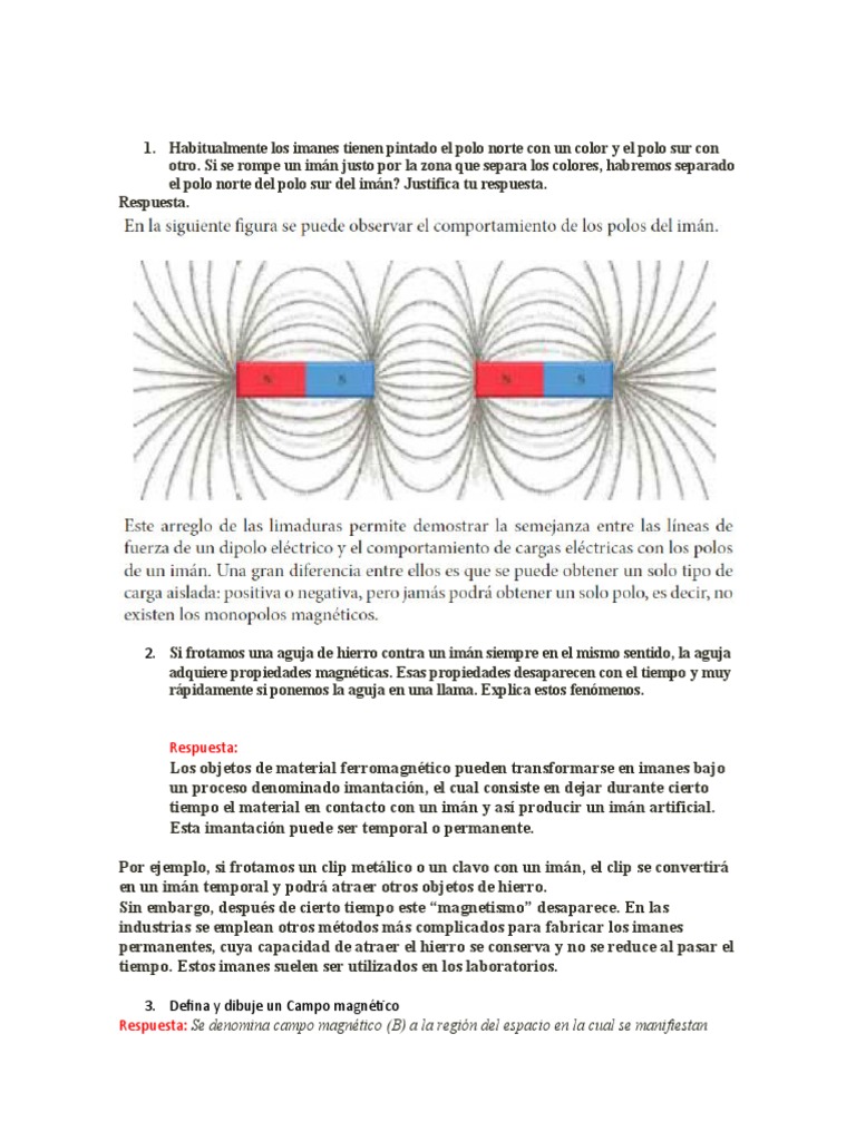Conceptos Básicos de Magnetismo | PDF