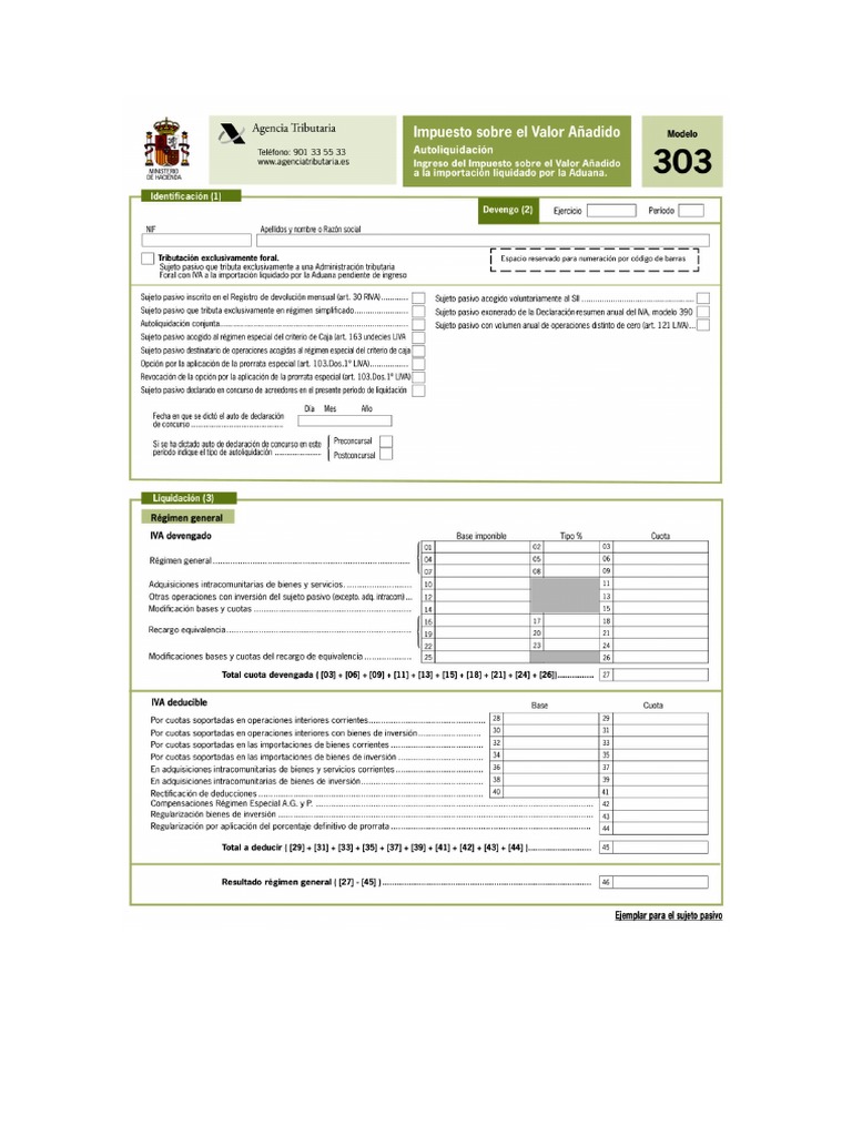Nuevo Modelo 303 | PDF