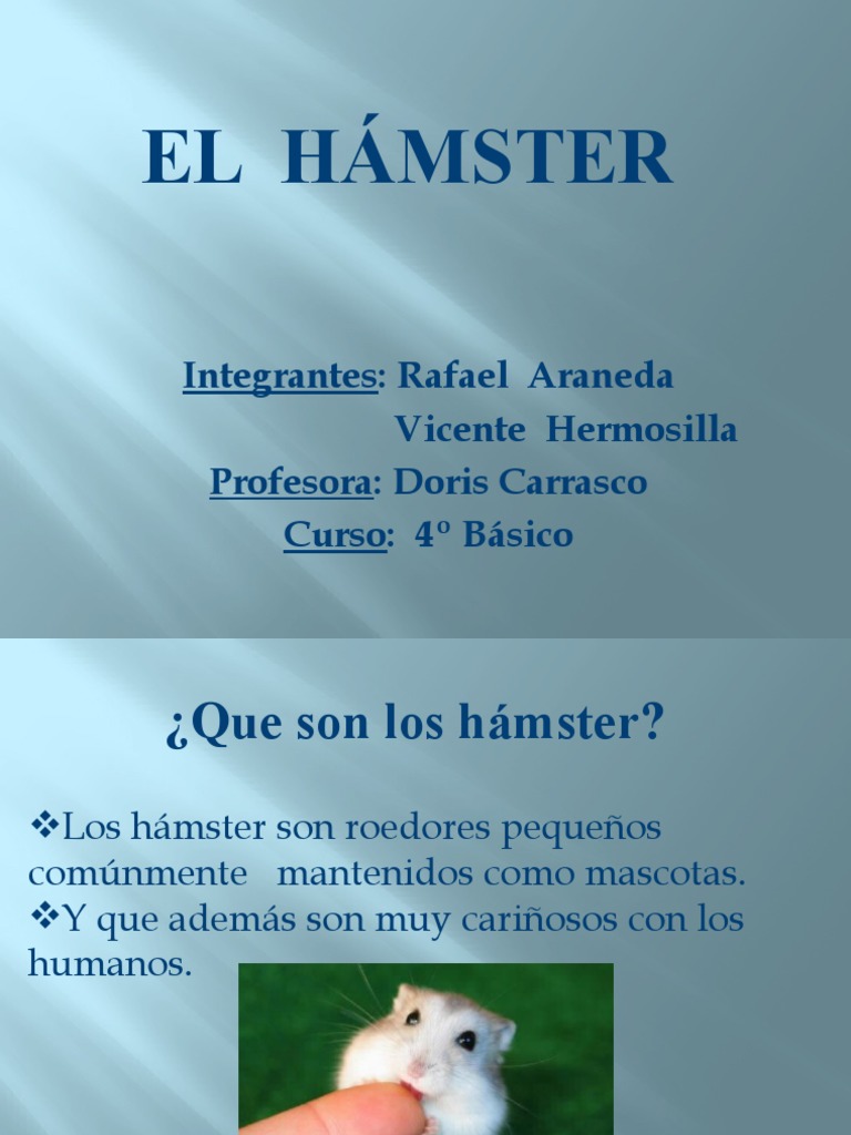 El Hámster | PDF