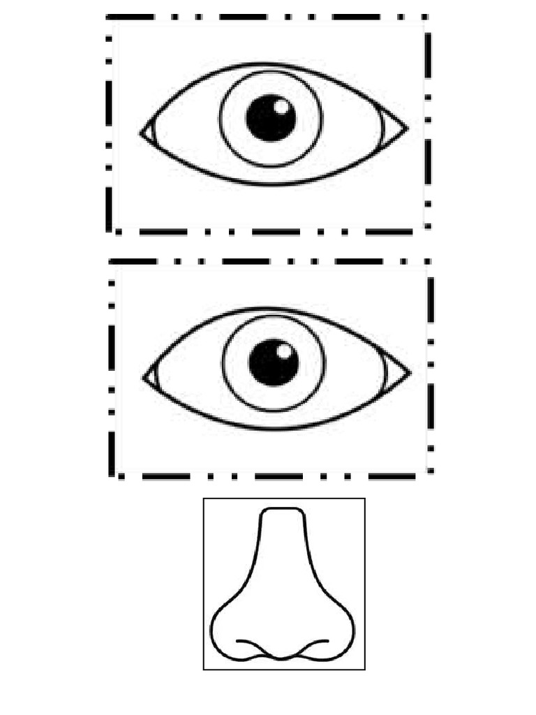 Partes De La Cara Para Imprimir Pdf