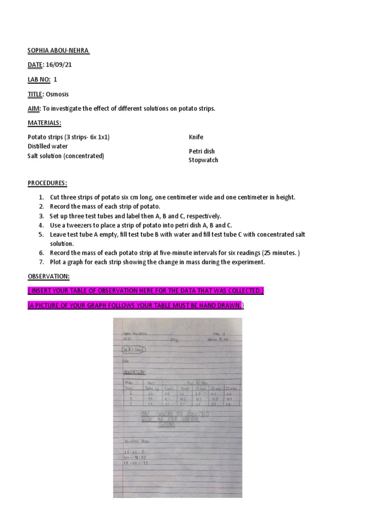 Effect of Solutions on Potato Strips | PDF | Osmosis | Chemistry