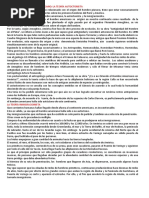 Teoría autoctonista de Ameghino | PDF | Science | Evolución biológica