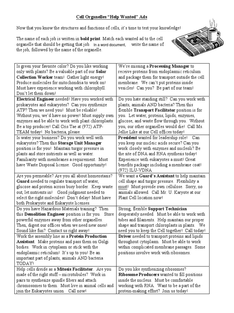 Cells Help Wanted | PDF | Cell (Biology) | Cell Membrane