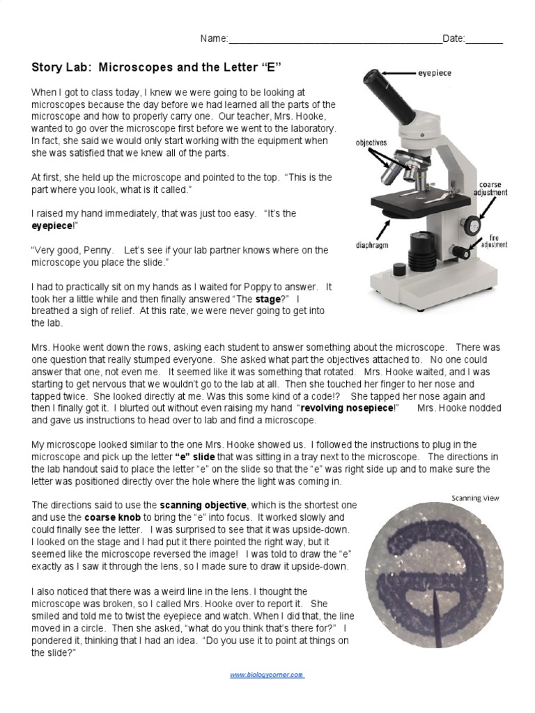 Microscopes and the Letter "E | PDF