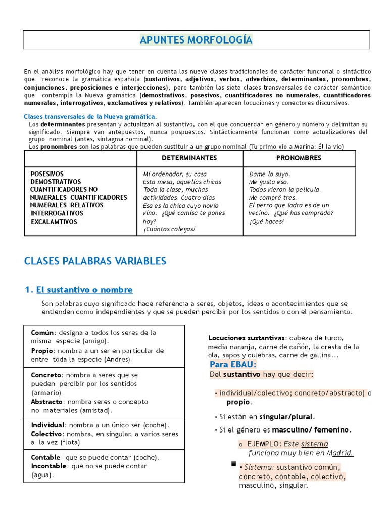 Análisis Morfológico | PDF | Adjetivo | Sustantivo