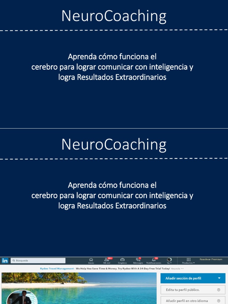 Neuro Coaching | PDF | Las emociones | Cerebro