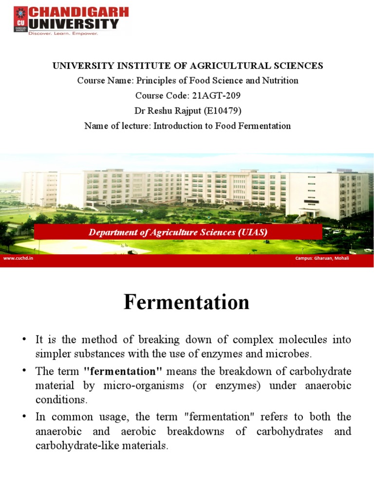 Introduction to Food Fermentation Techniques | PDF | Fermentation ...