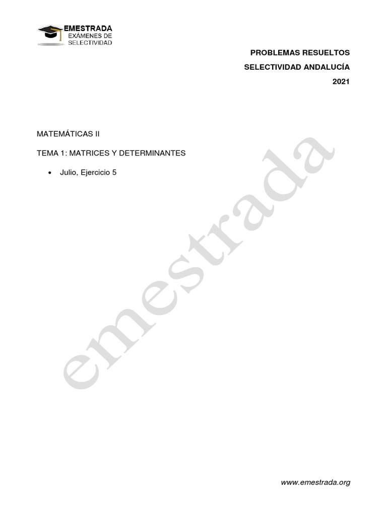 Matrices Selectividad | PDF | Determinante | Matriz (Matemáticas)
