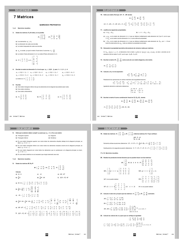 01 Matrices 4 | PDF | Matriz (Matemáticas) | Conceptos matemáticos