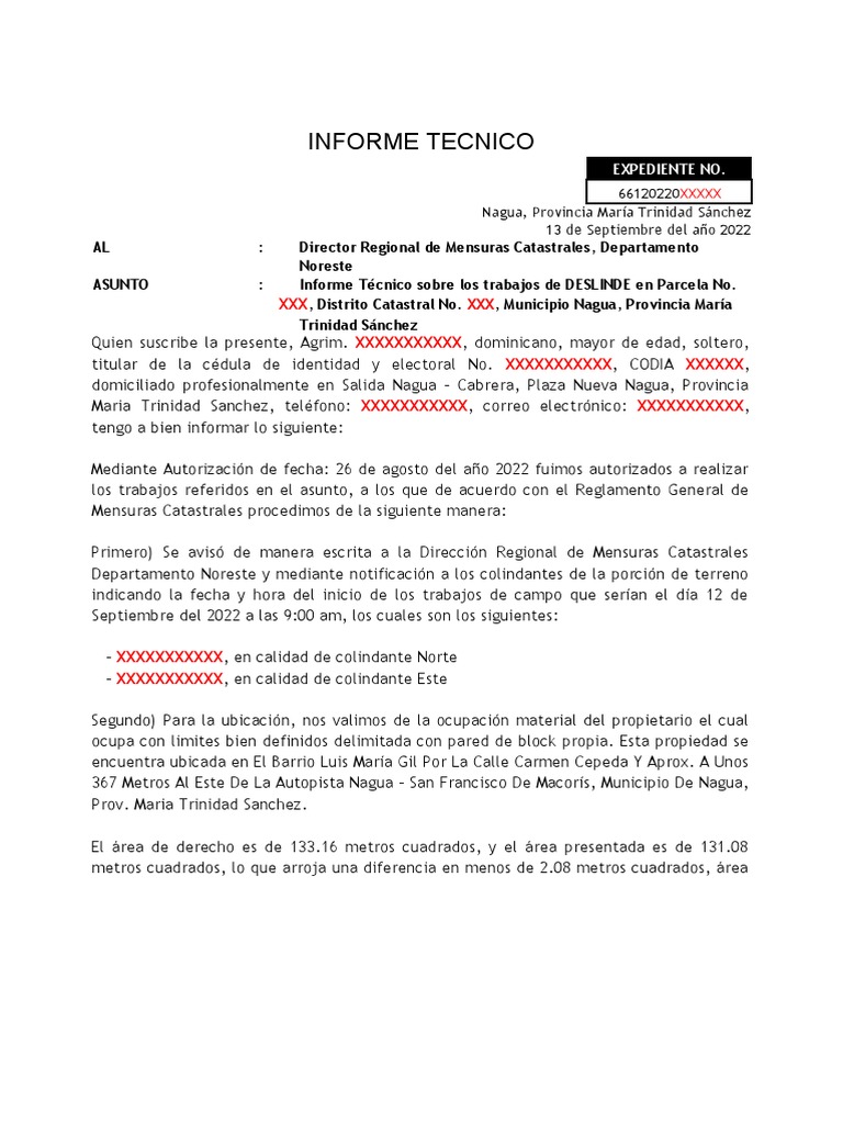 Informe Tecnico | PDF