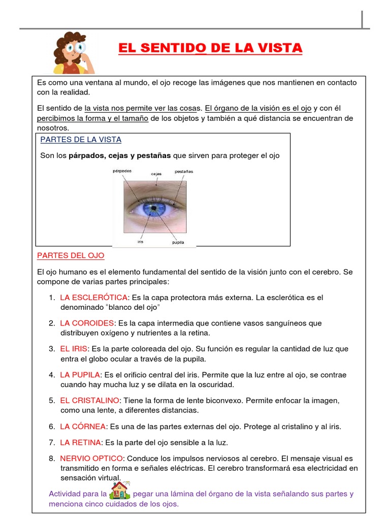 El Sentido de La Vista | PDF