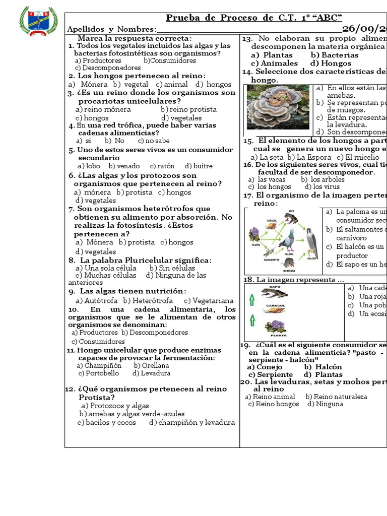Prueba de Proceso de CT 1° ABC | PDF | Hongo | Plantas