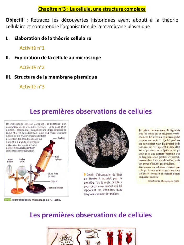 La Cellule, Une Structure Complexe | PDF