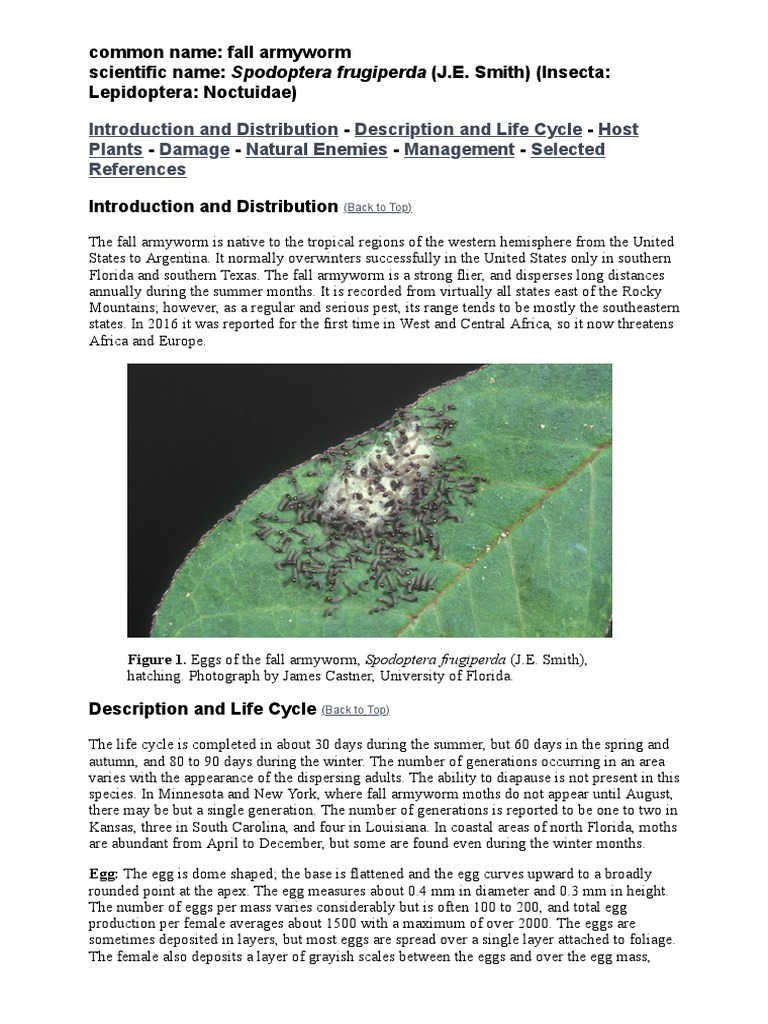 Fall Armyworm, Spodoptera Frugiperda (J.E. Smith) | PDF | Pupa | Maize