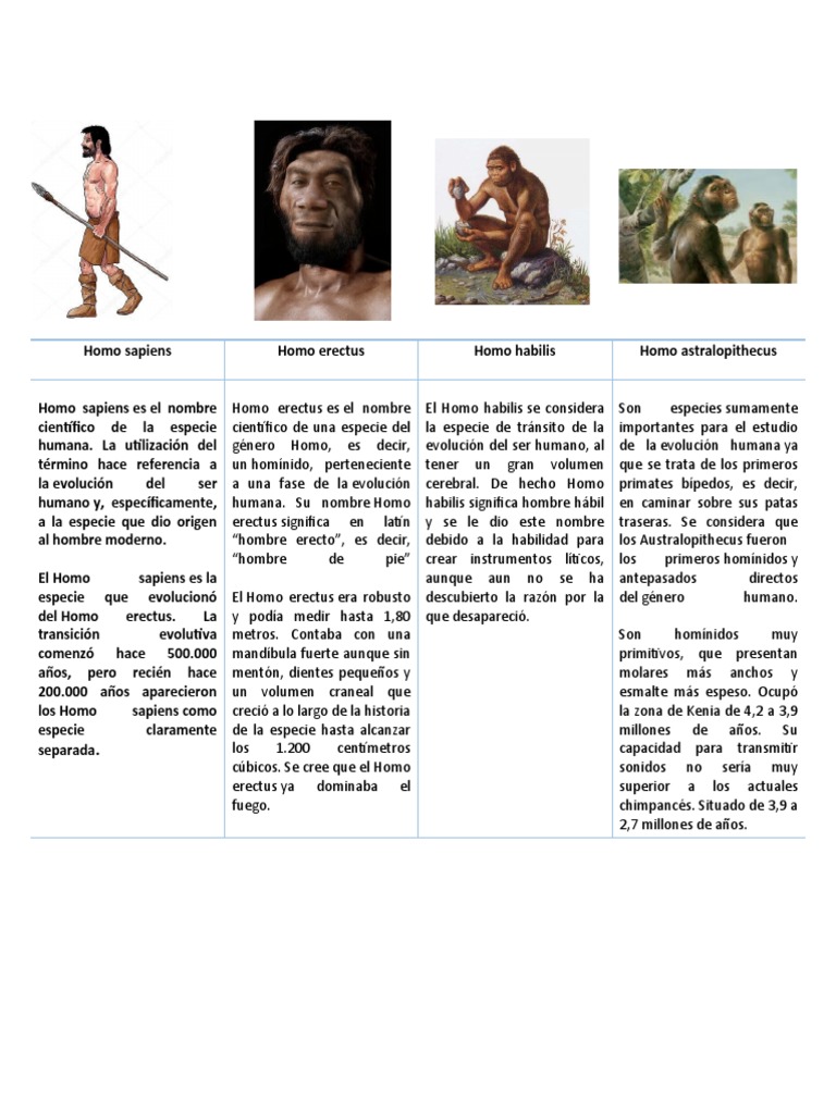 Homo Sapiens | PDF | Homo | Evolución humana
